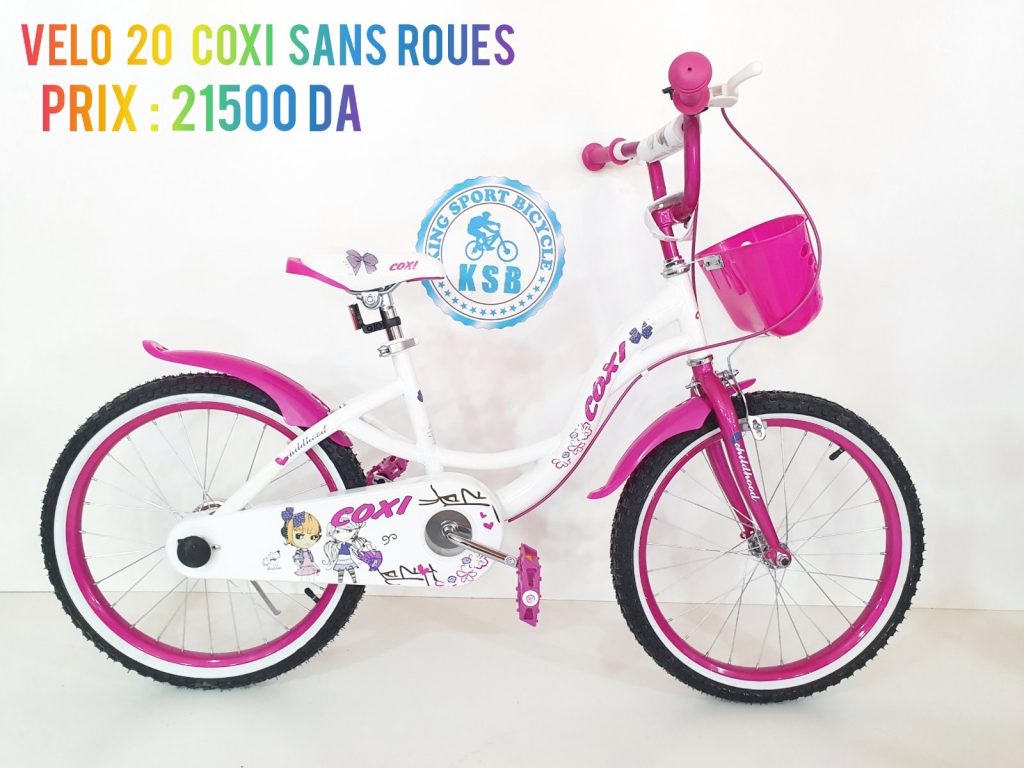 VELO 20 COXI SANS ROUES – KINGSPORT
